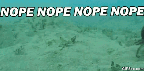Nope Nope Nope Gif - Get the Best GIFs on GIFSEC